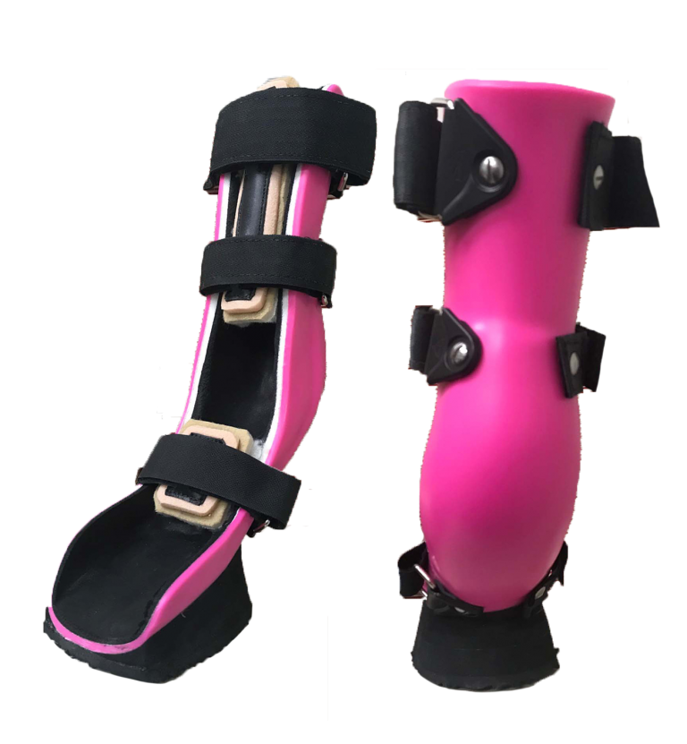 Carpal Support Wrist Braces For Dogs | My Pet's Brace