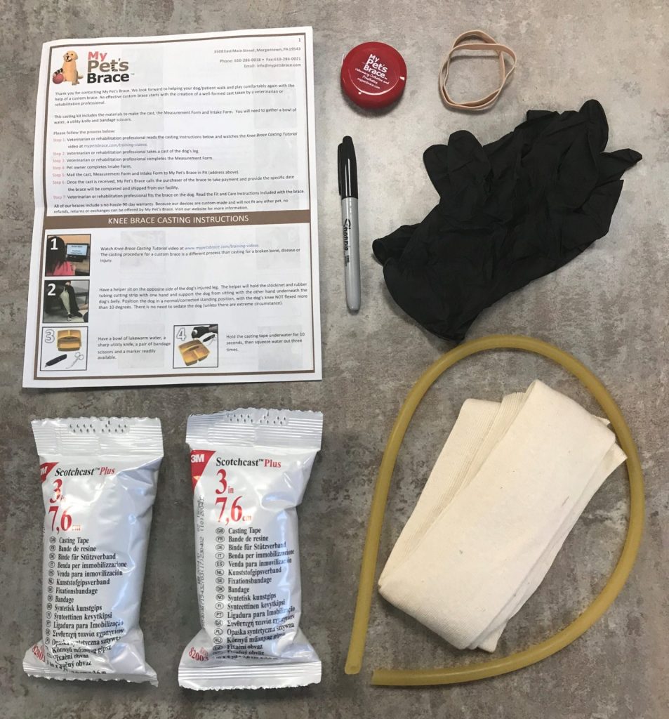 Order a Casting Kit Today | Custom Braces | My Pet’s Brace