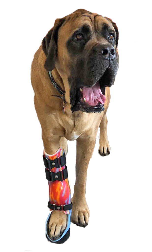 Dog Carpal Braces | Braces For Front Legs | My Pet’s Brace