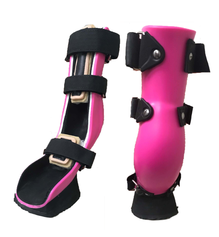 Dog Carpal Braces | Braces For Front Legs | My Pet’s Brace